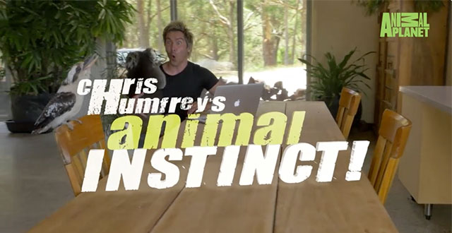 Chris Humfrey’s Animal Instinct – K-Zone