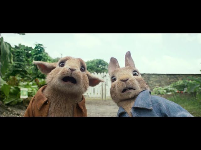 Peter Rabbit Trailer – K-Zone