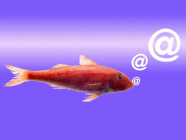 Google unveils Skipfish security tool - iTnews