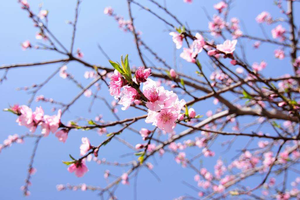 The iTnews tech Haiku competition - iTnews