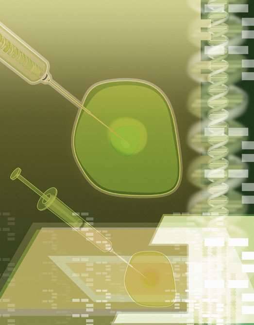 New attack blends rootkits with HTML-injections to phish users on the ...